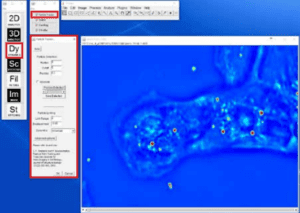 Cell Dynamics - Phi Optics