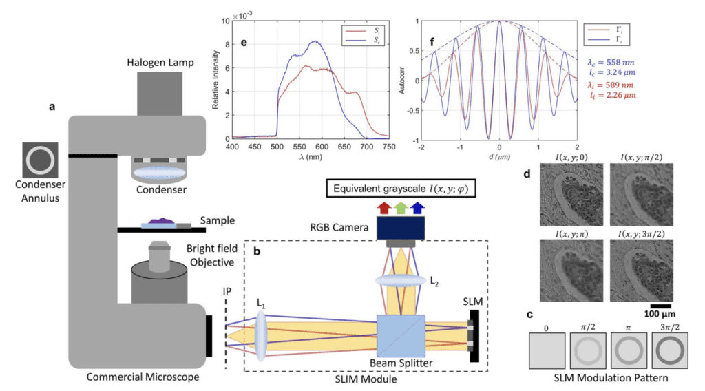 Quantitative Histopathology of Stained Tissues using Color Spatial ...