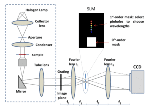 Spectroscopic Diffraction Phase Microscopy; Optics letters 37, 17 (2012) - Phi Optics