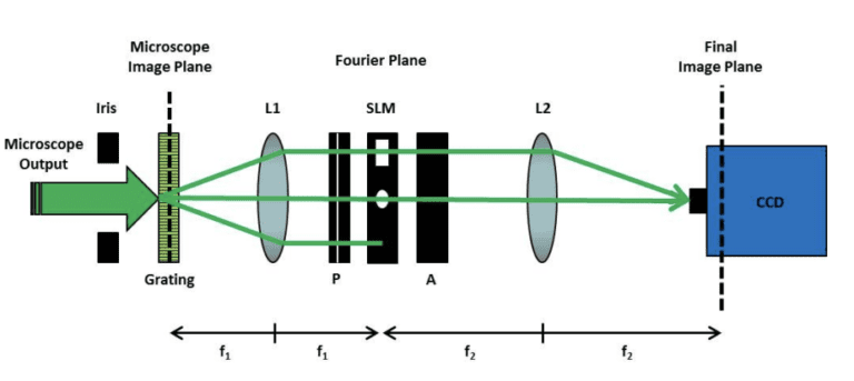 Effects of Spatial Coherence in Diffraction Phase Microscopy; Optics ...
