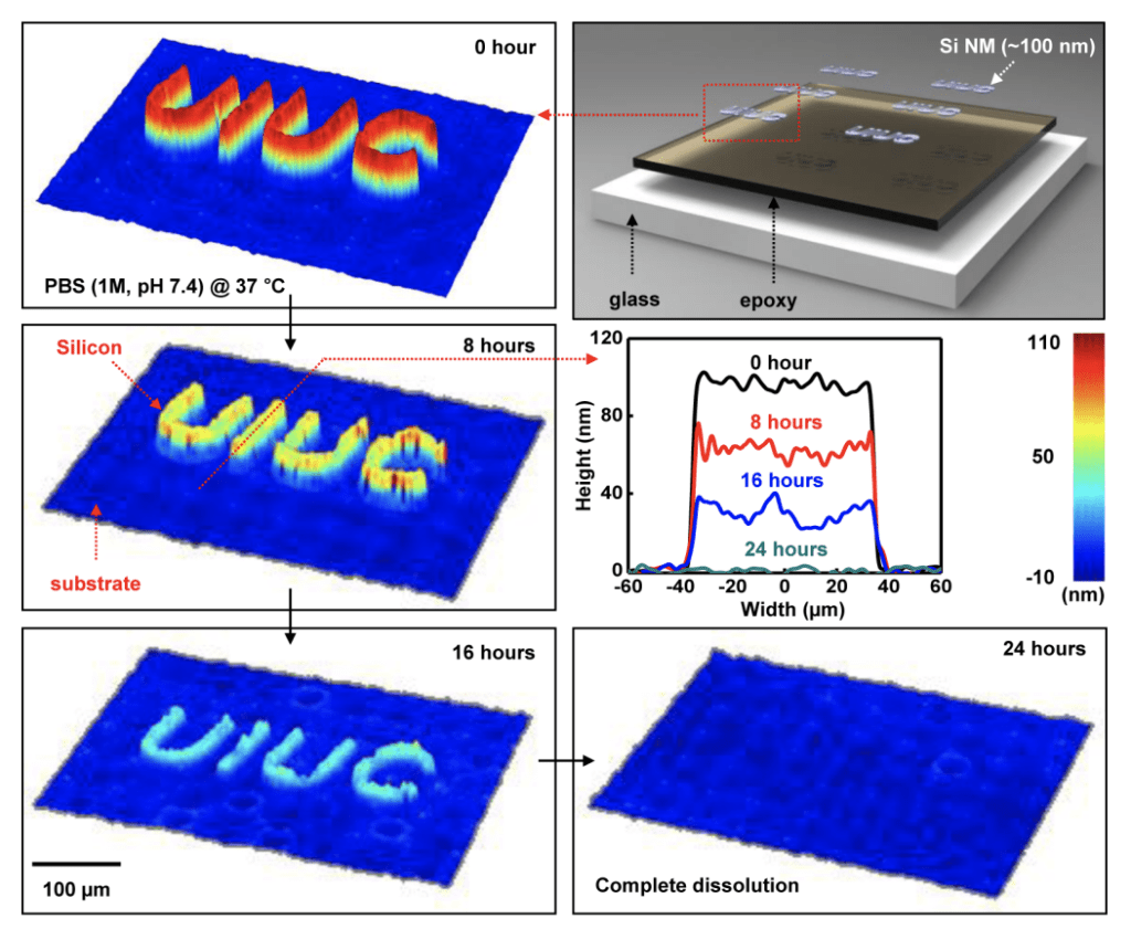 Dissolution Chemistry and Biocompatibility of Single-Crystalline ...