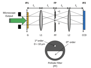 Diffraction Phase Microscopy: Monitoring Nanoscale Dynamics in ...