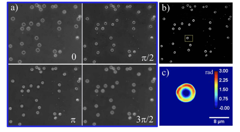 Quantitative Phase Imaging With Partially Coherent Illumination Optics Letters 39 5511 2014