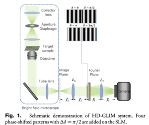 Harmonically Decoupled Gradient Light Interference Microscopy (HD-GLIM ...