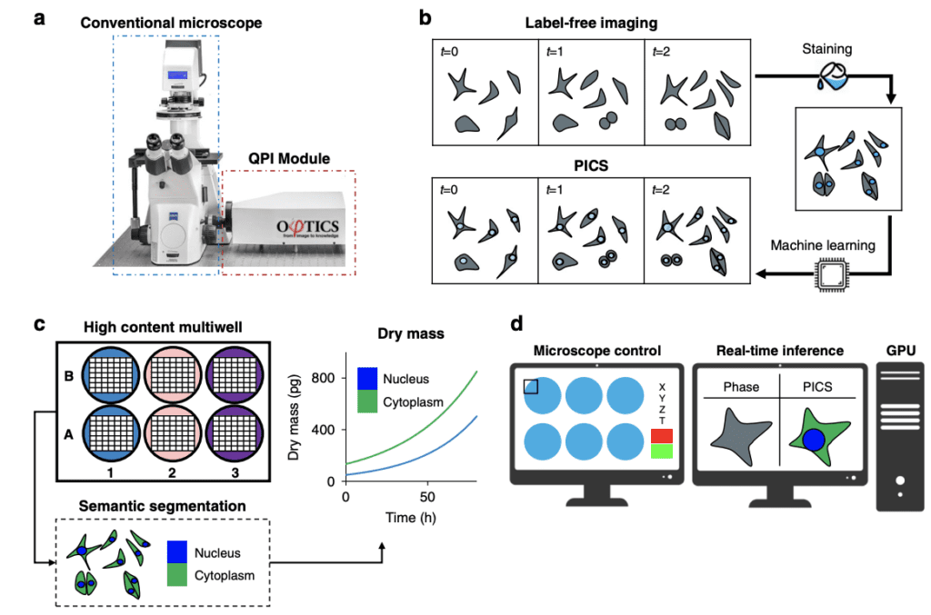 Phase Imaging with Computational Specificity (PICS) for Measuring Dry ...