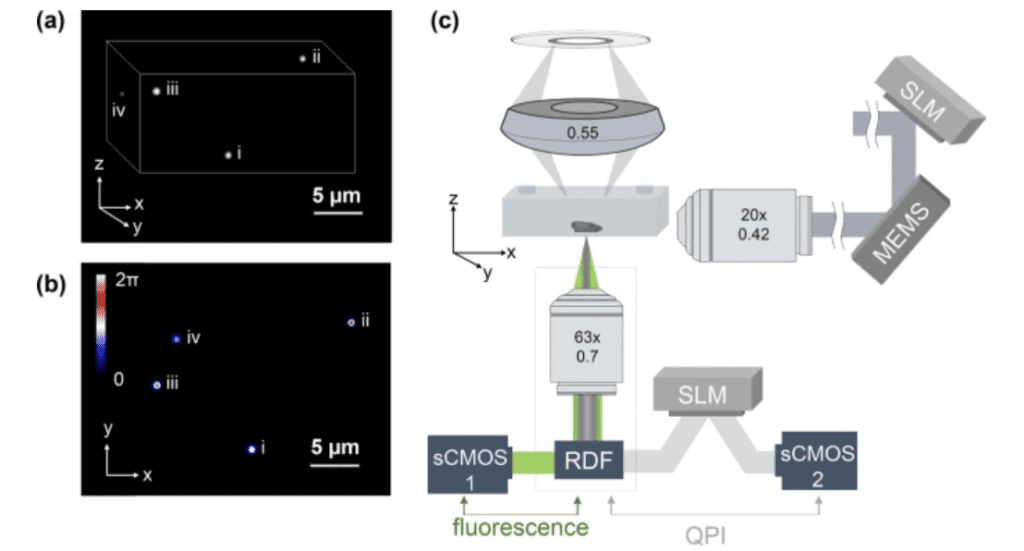 Integrative quantitative-phase and airy light-sheet imaging; Nat Sci ...
