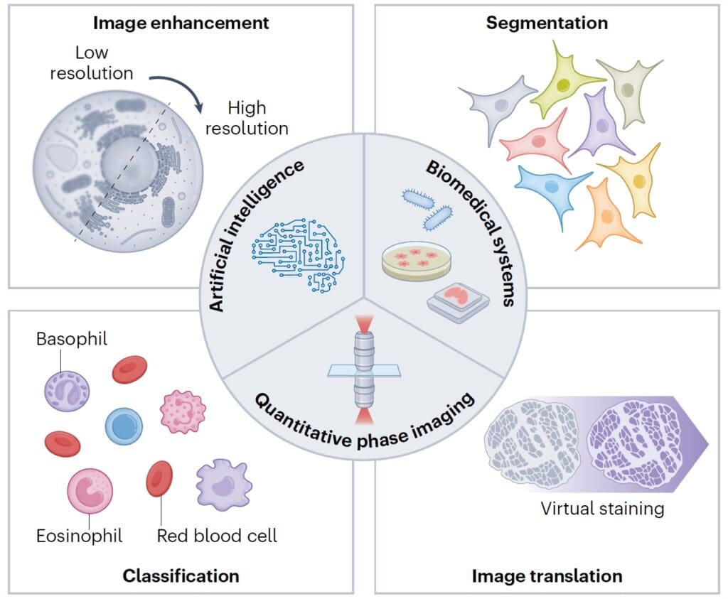 Artificial intelligence-enabled quantitative phase imaging methods for ...